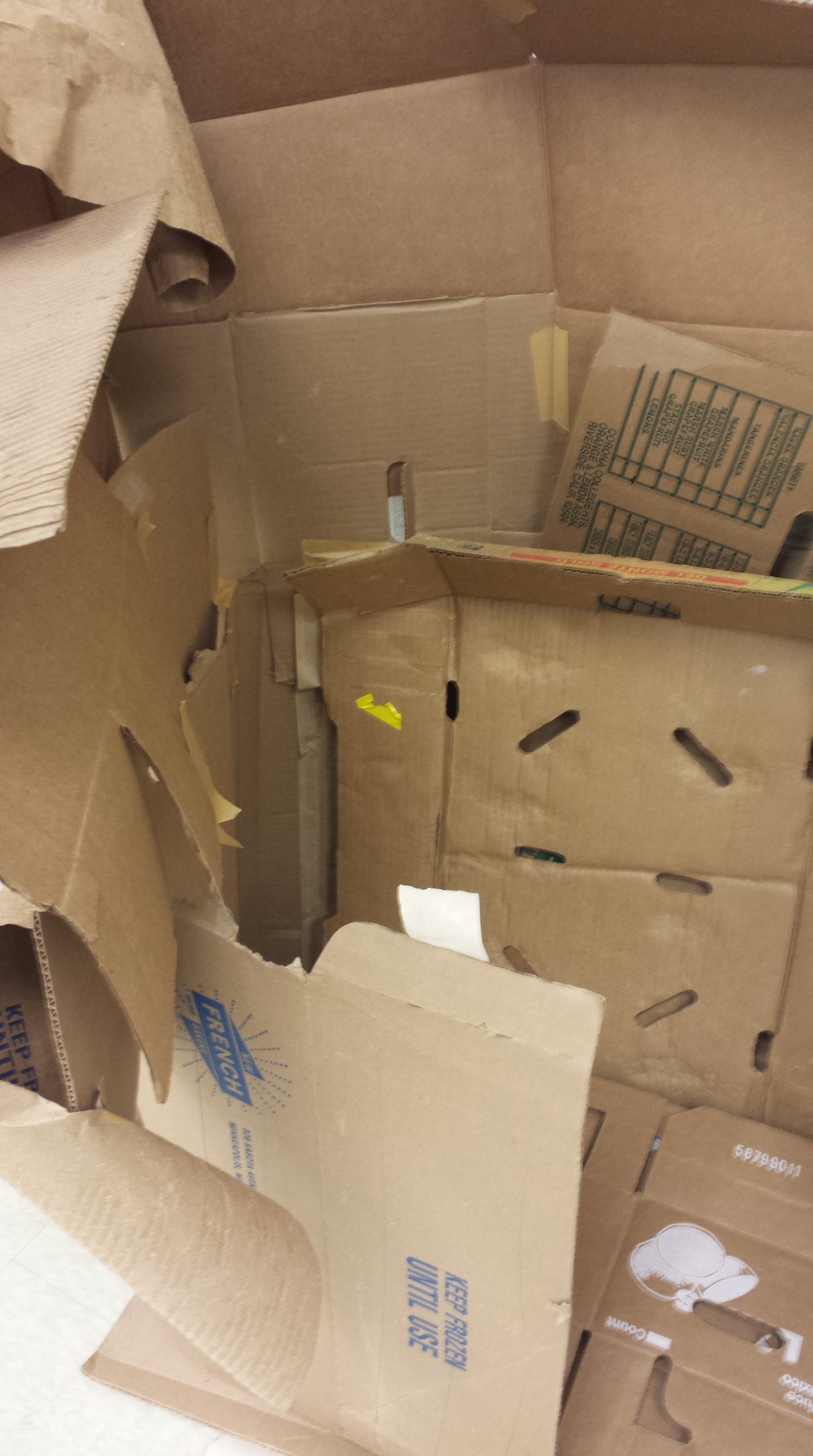 Cardboard Fort – drawing into space
