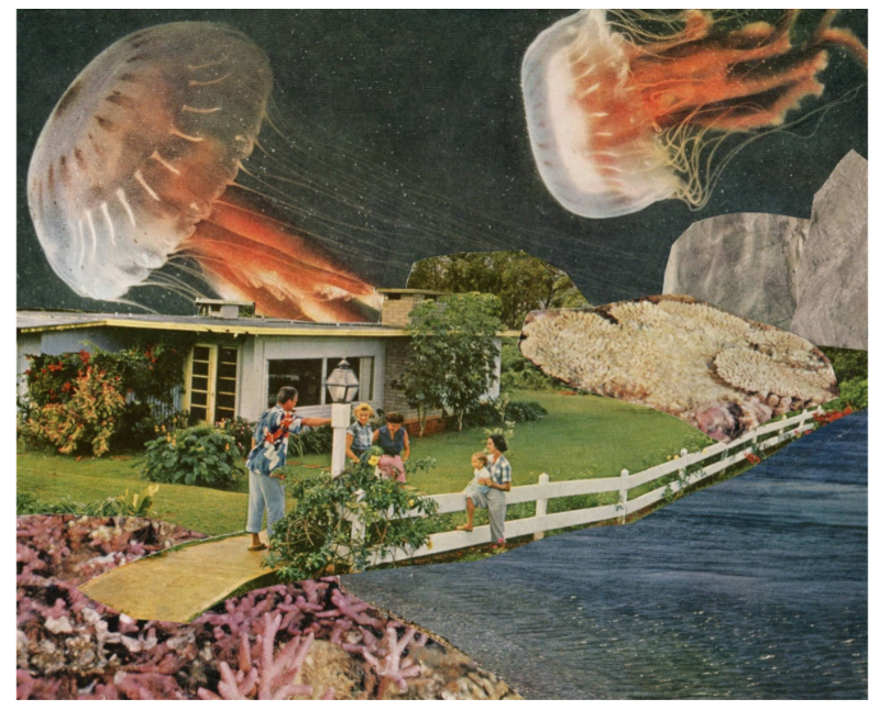 Maya Land – drawing into space